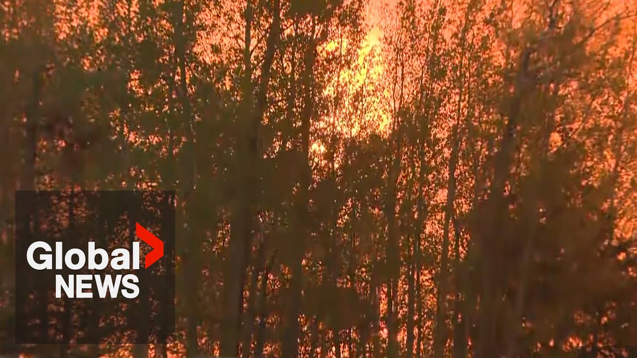 Wildfire smoke can pose health hazards to those located far distances ...