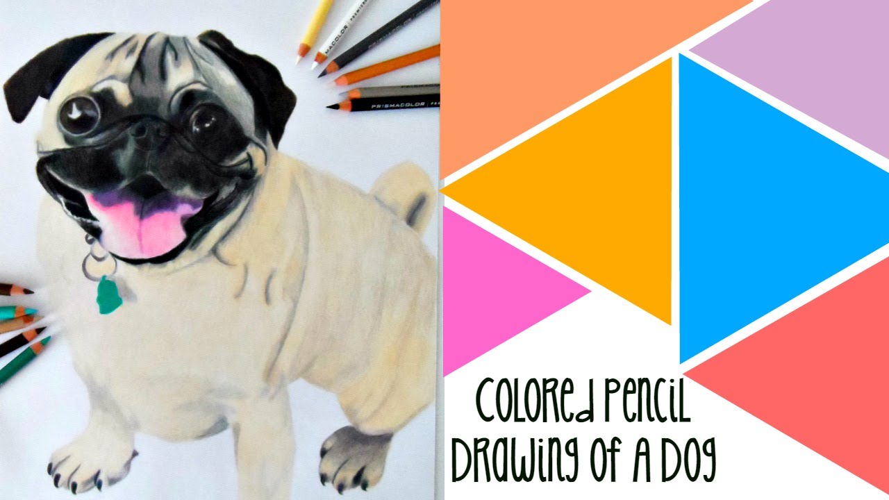 SPEED DRAWING | Colored Pencil Drawing of A Dog - YouTube