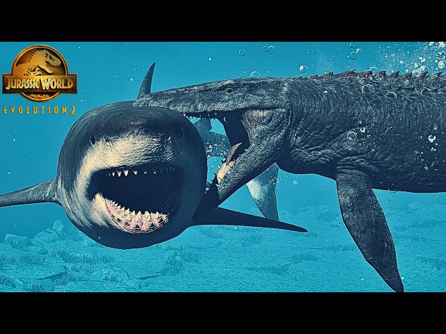 Kronosaurus Vs Megalodon Megalodon Livyatan Shonisaurus Kronosaurus