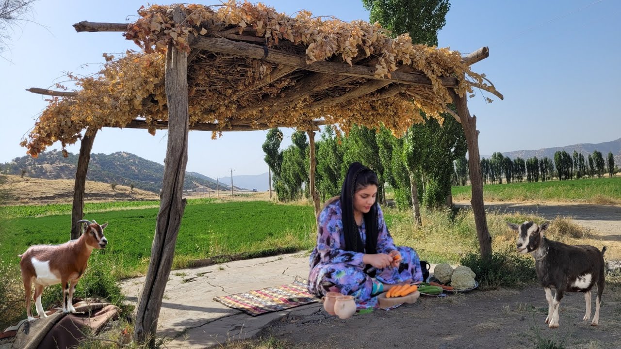 Nomadic lifestyle in iran | daily rural lifestyle | rural lifestyle in ...