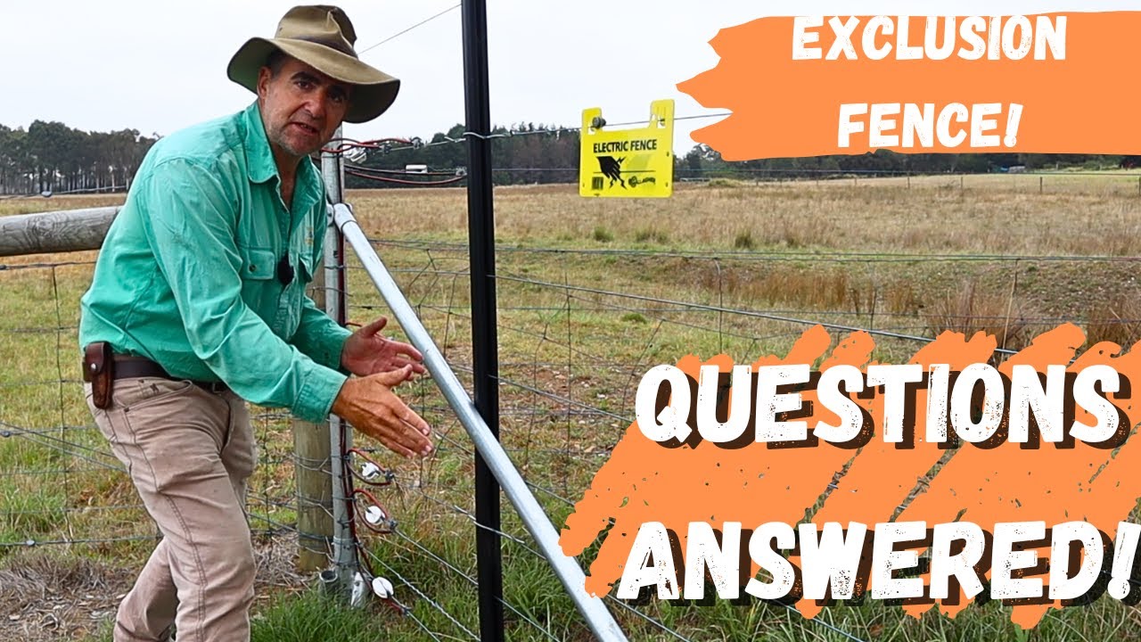 Your Exclusion Fence Questions Answered! | Tim Thompson
