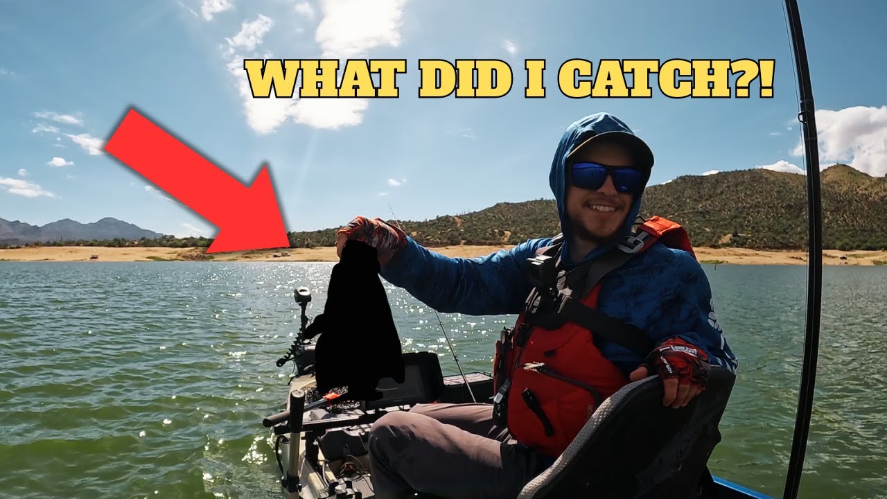 Fishing at Arizonas most INFESTED lake! Bartlett Lake AZ - YouTube