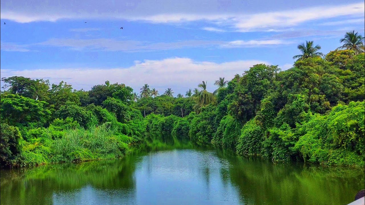 Relaxing Nature scenes || Relaxing forest nature || Beautiful nature ...