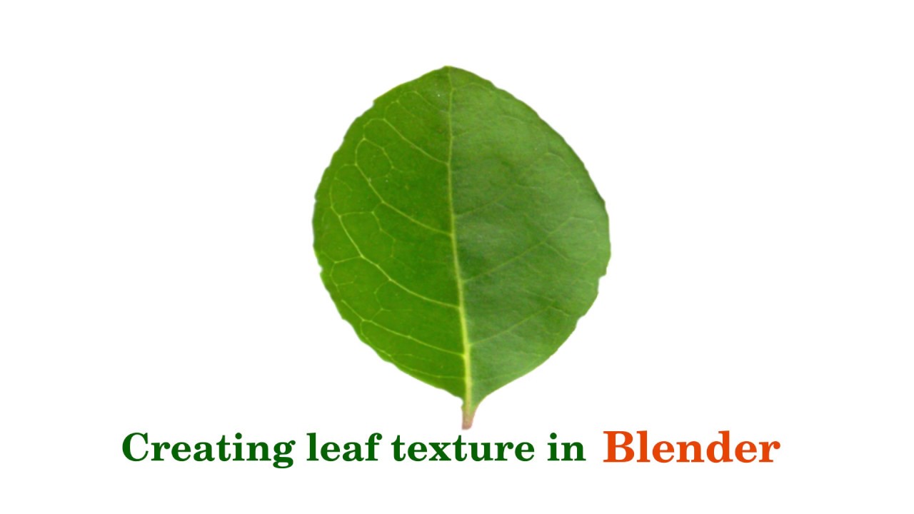 How to create a leaf texture in Blender - YouTube