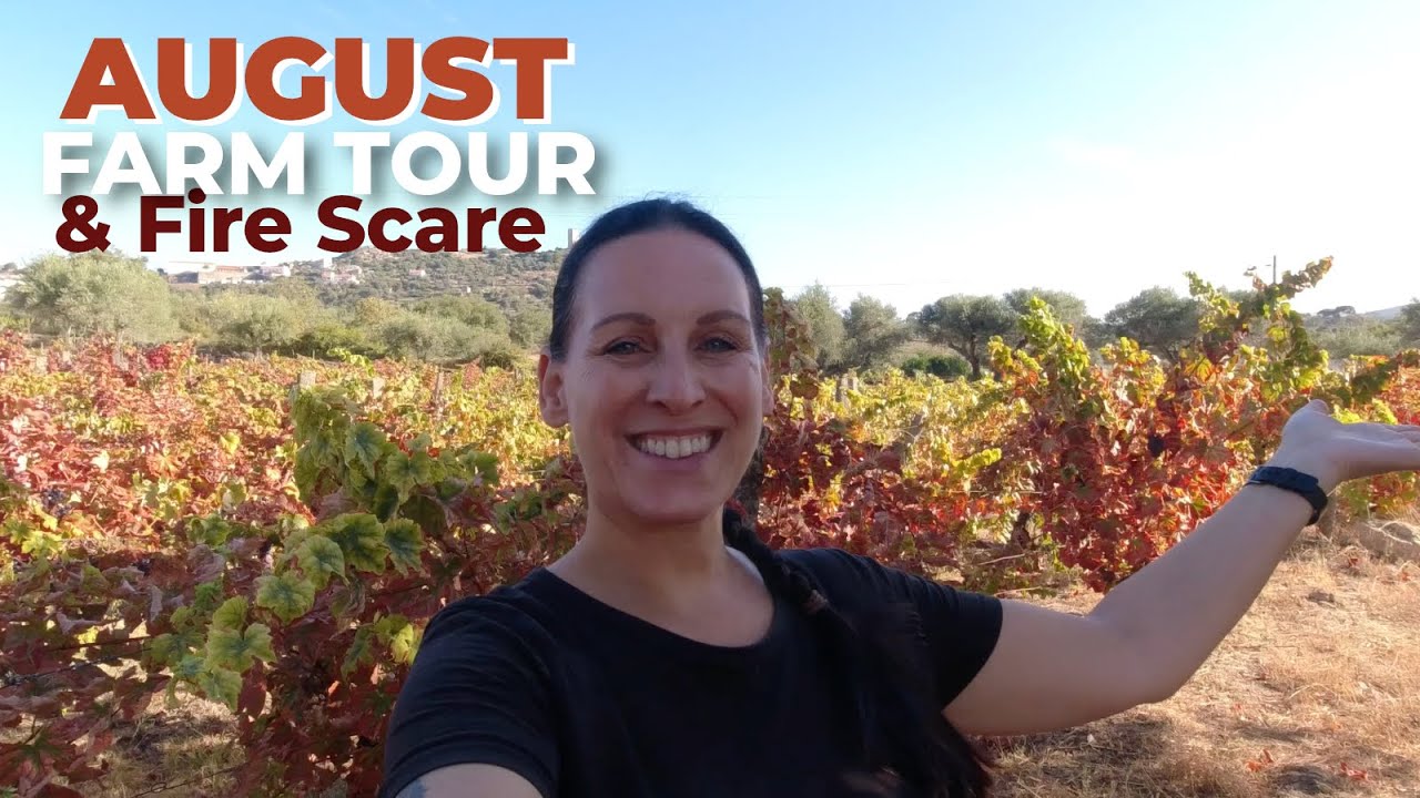 AUGUST Farm Tour | Fire Scare | My Central Portugal Farm #81 - YouTube