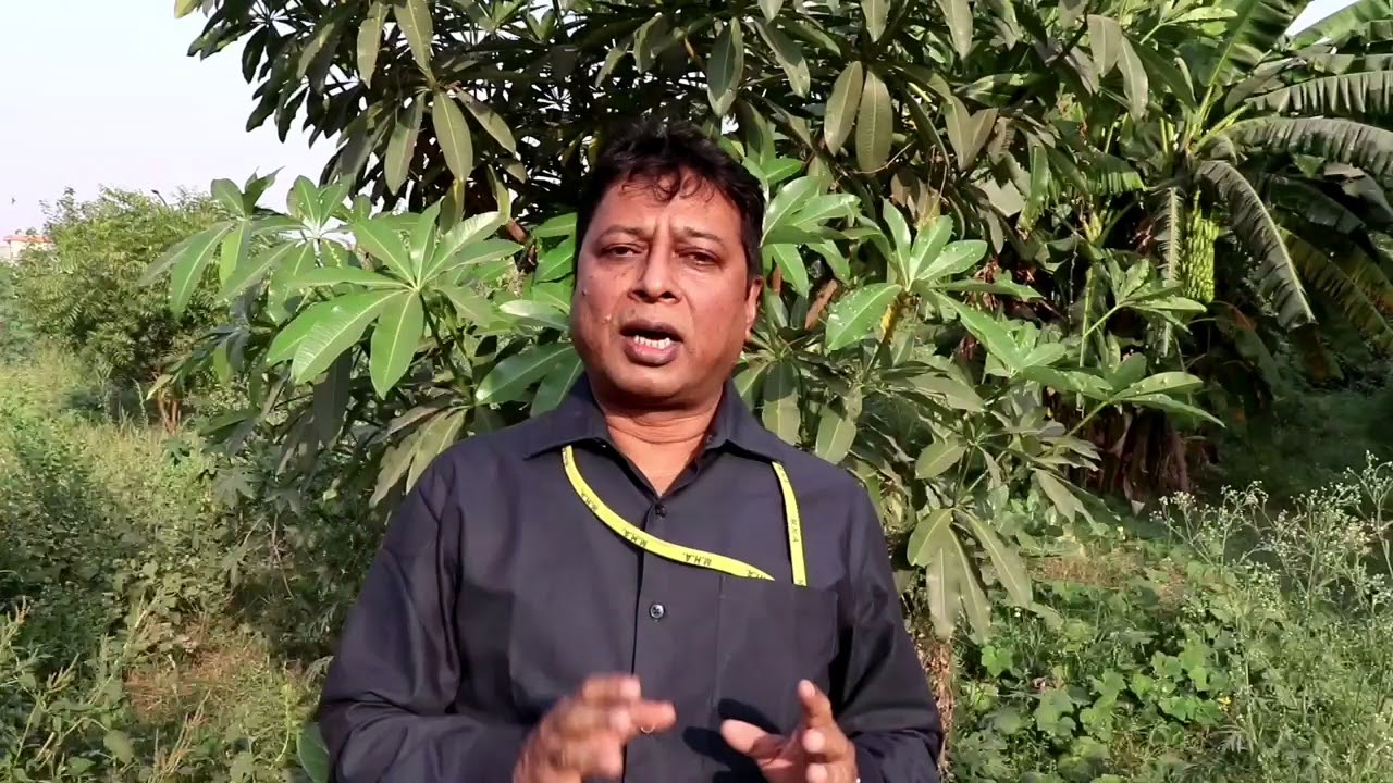 English grow any Crop Rs.1000 waste decomposer of NCOF, WDC - YouTube