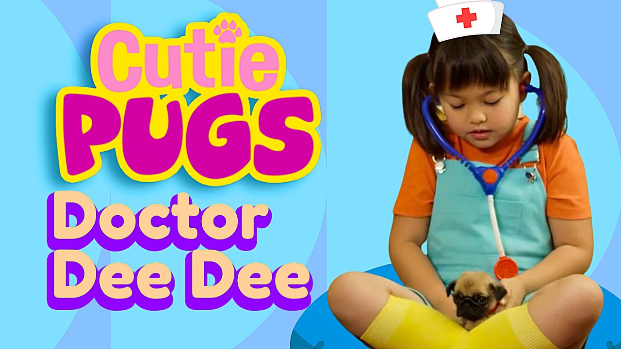 Doctor Dee Dee 👩‍⚕️🩺 | Cutie Pugs 🐶 | #shorts #animals #puppy #play # ...
