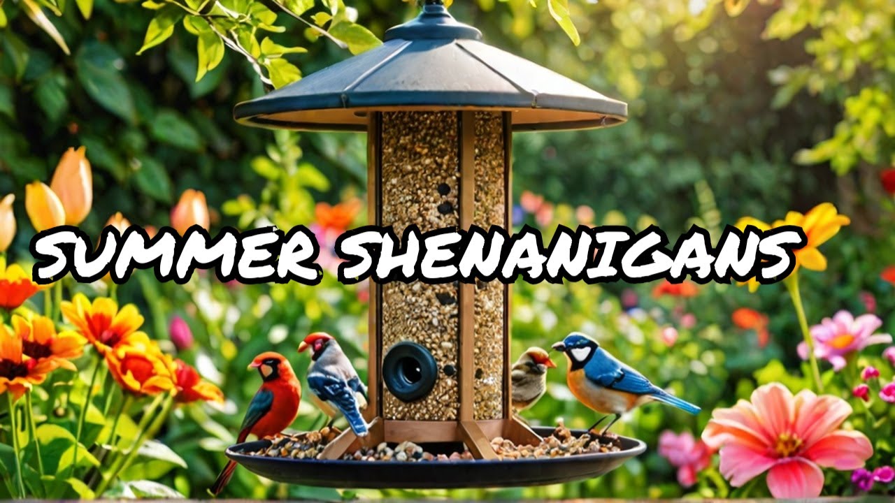 Bird Feeder Fun: Summer Shenanigans Unleashed! - YouTube