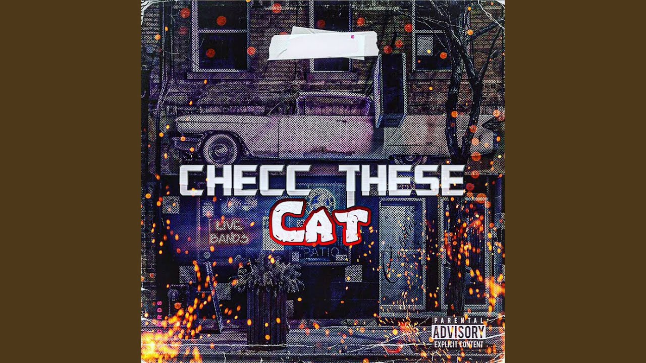 Checc These Cat - YouTube