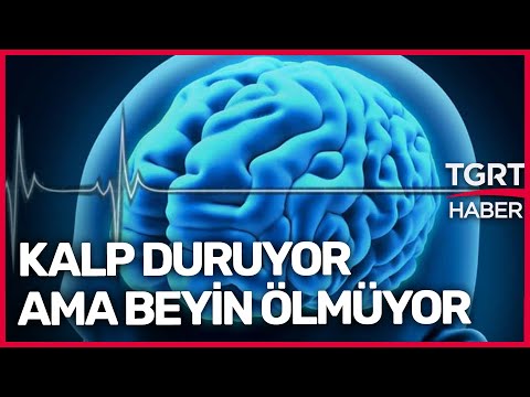 Ölüm Anında Beyinde Neler Oluyor?  Prof. Dr. Derya Uludüz Yanıtladı - Yeşim Salkım İle Şeffaf Masa