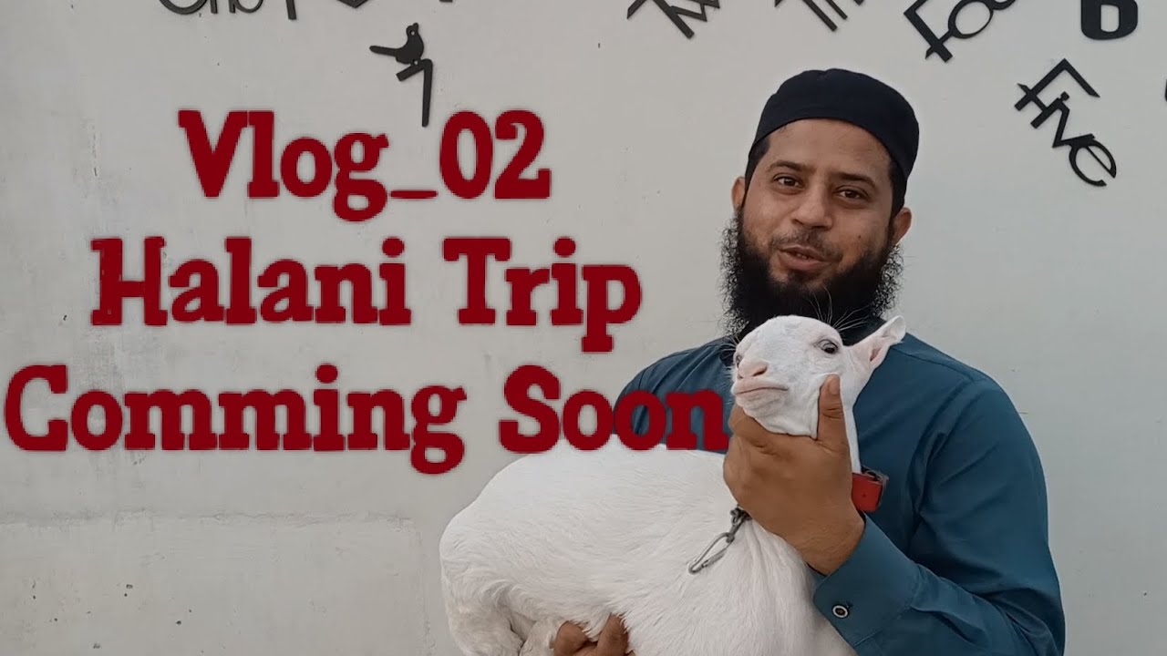 🙋🚌🛤️🙋🚌🎁MADNI BHAI GOING TO HALANI 2023 QURABI KI PURCHASING K LIA 🙋🙋🥰 ...