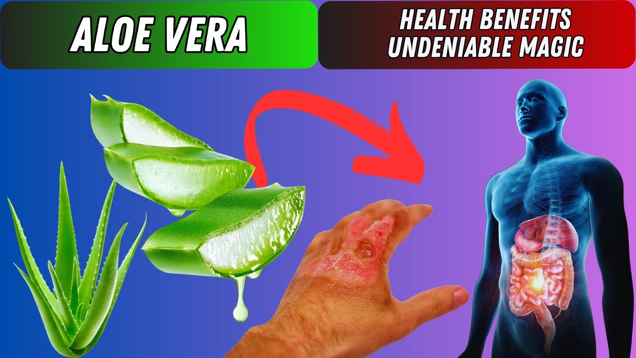 Harness the Power of Aloe Vera's Green Magic for Optimal Health! - YouTube