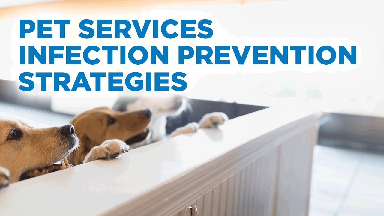 Pet Services Infection Prevention Strategies with Dr. Jason Stull ...