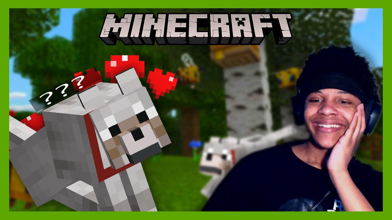 Finding A New PET DOG | Minecraft: Part 5 - YouTube