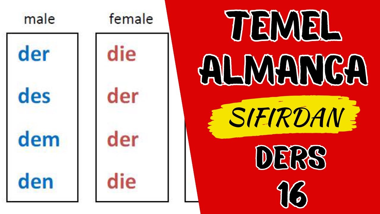 Almanca A1 Dersleri | Ders 16 | İsmin Halleri | Nominativ - YouTube