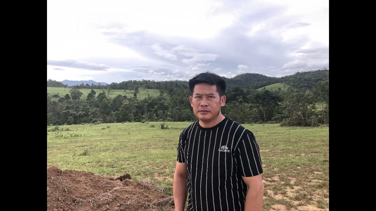 Yawm txiv muab vauv ncaw tuag ib tsig 7/15/2023 - YouTube