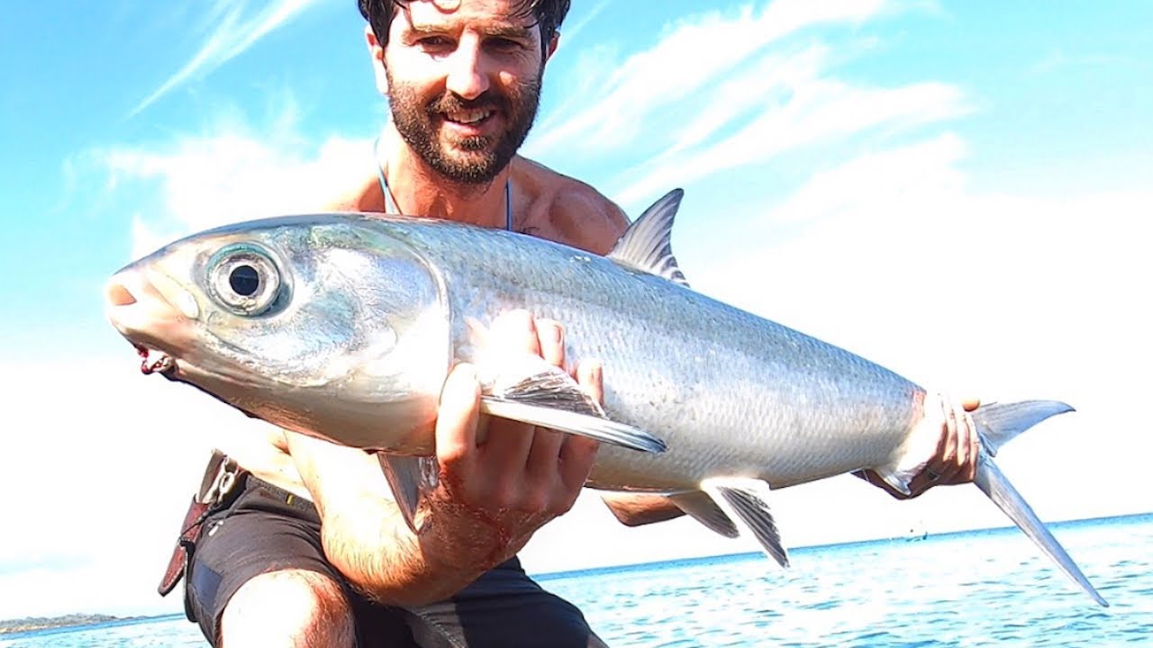 GIANT MILKFISH From The Rocks in Costa Rica! - YouTube