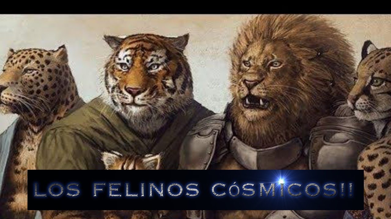 LA RAZA URMAH: LOS FELINOS CÓSMICOS!! - YouTube