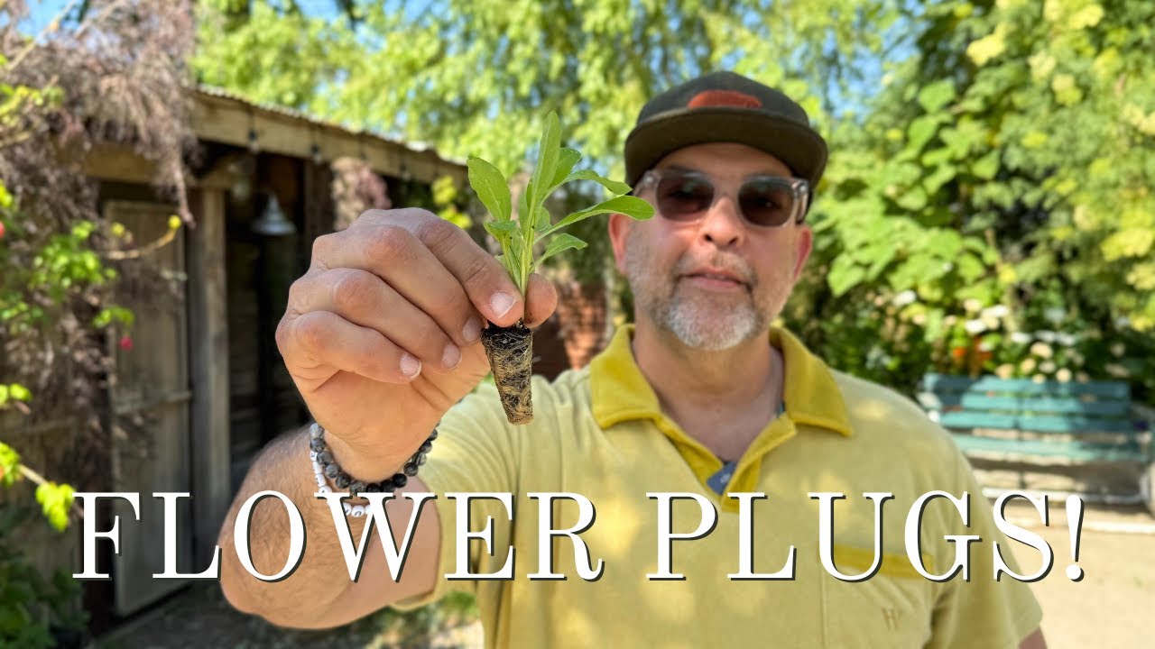 Unboxing & Planting Flower Plugs from Farmer Bailey 🌼🌿🐝 Cut Flower ...
