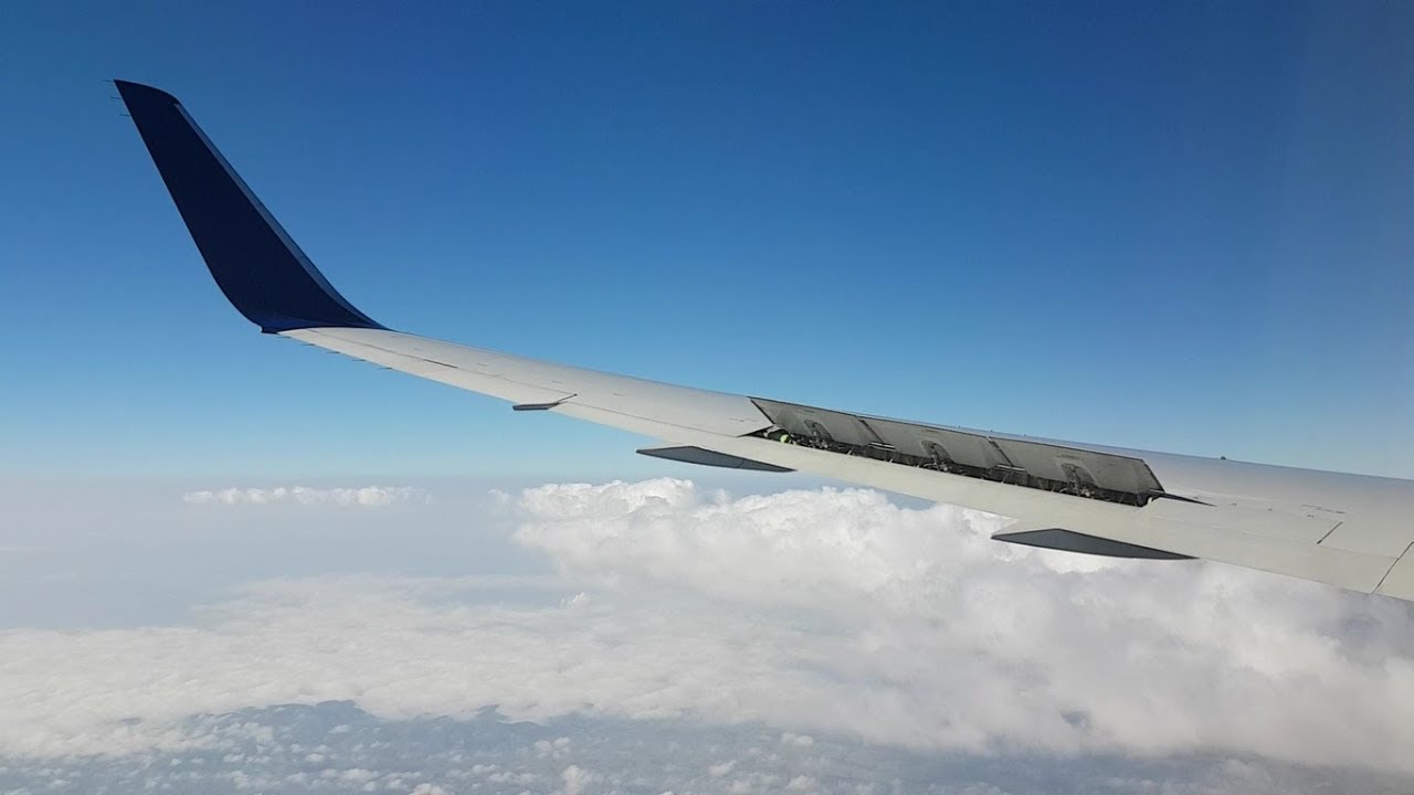 Delta Airlines (B767) Landing at São Paulo International Airport ...