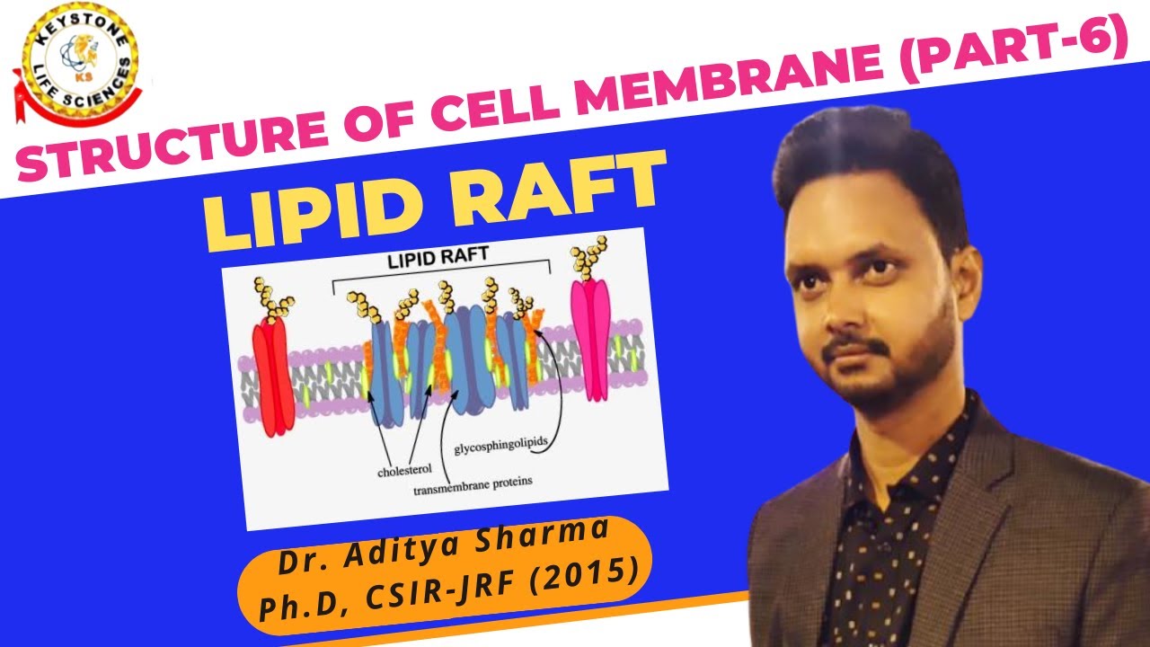 Lipid Raft #Structure of Cell Membrane (Part 6) | By Dr. Aditya Sharma ...