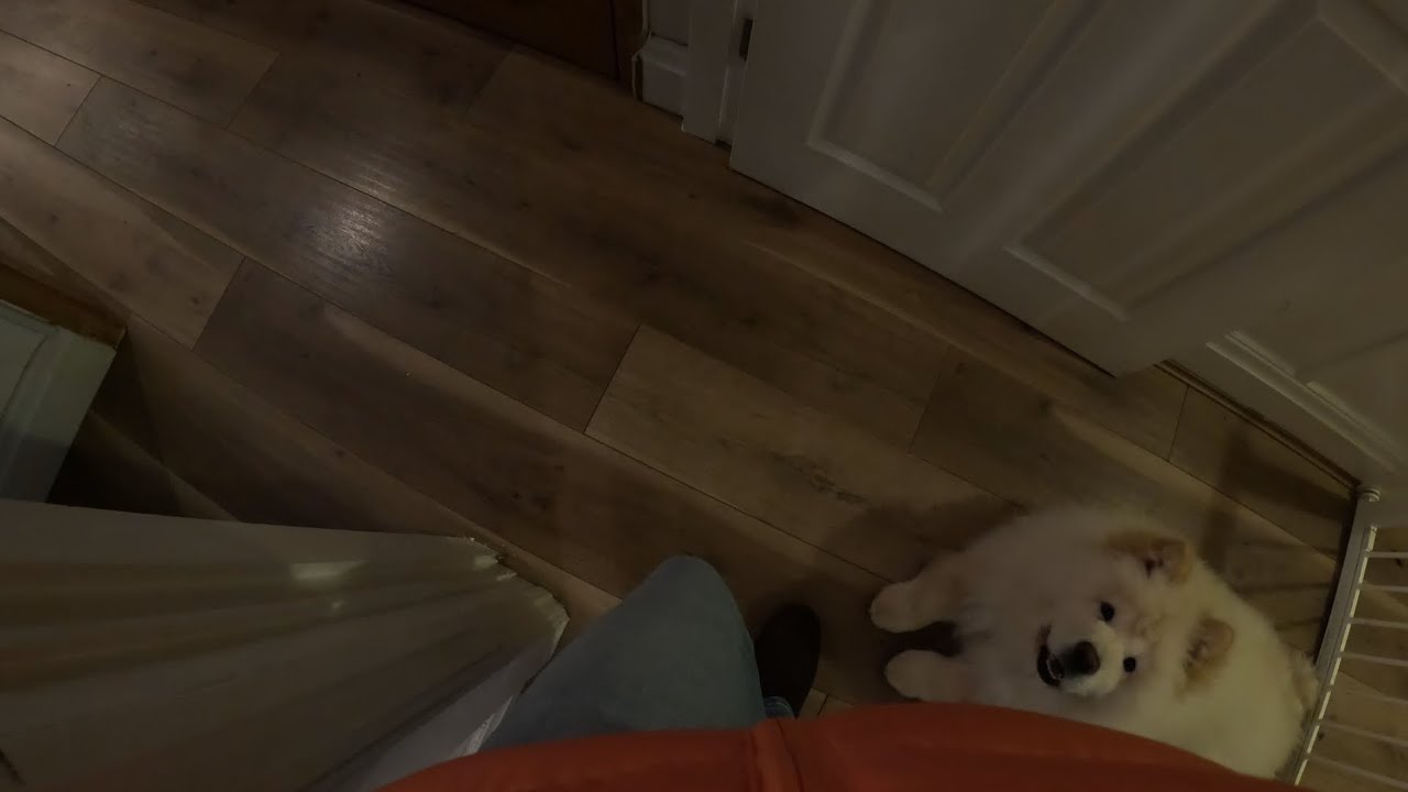 Charlie Chow, lesson 2 - YouTube