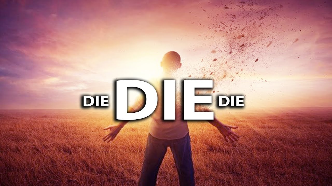 die DIE die - Sandra Graves Coach - YouTube