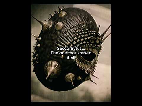 The first ever ancestor of humans #prehistoric #earlyhumans #evolution