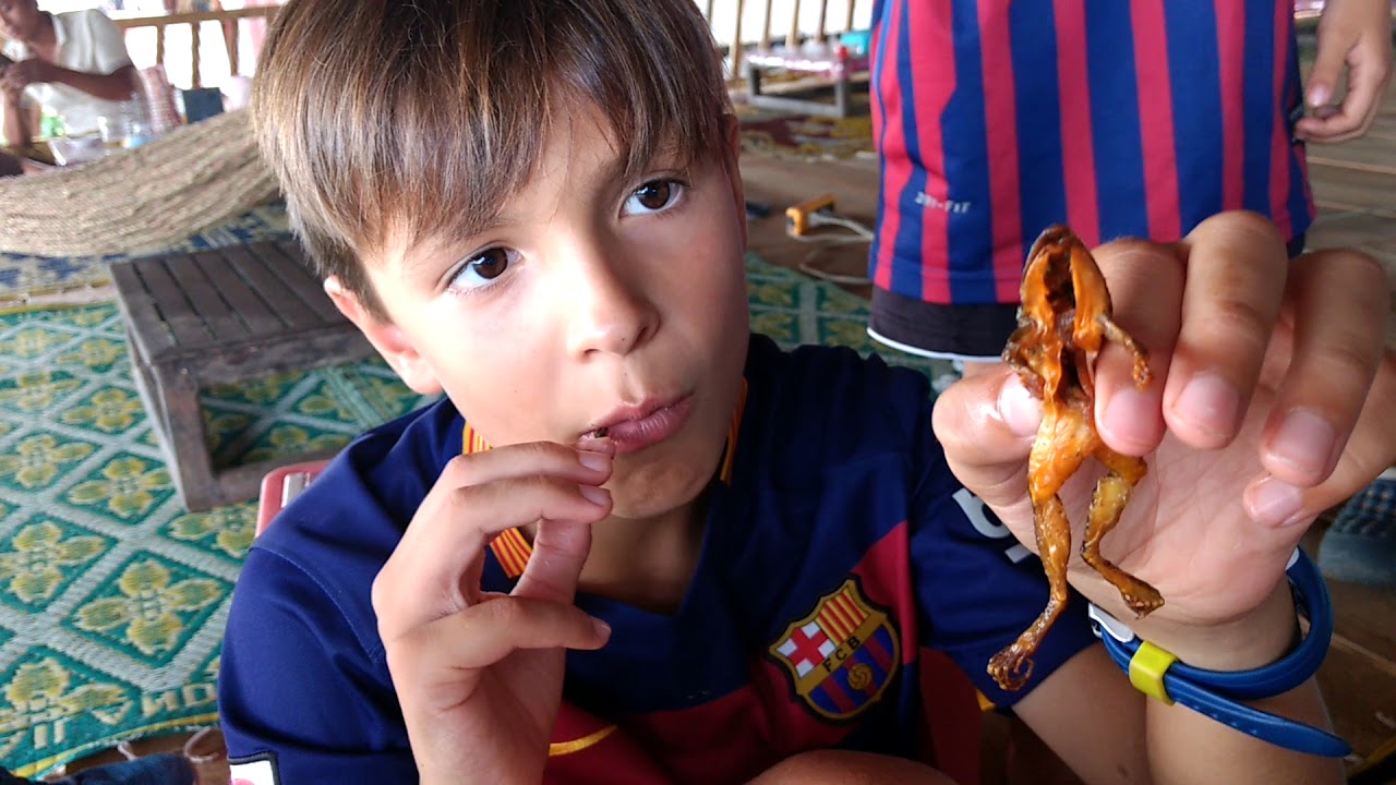Comiendo bichos en Camboya - YouTube