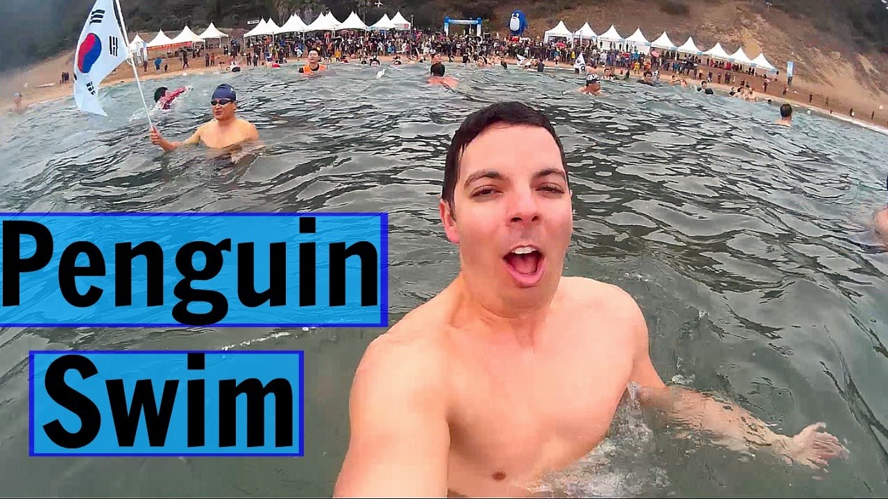 Jeju Island Korea Jungmun Beach - Penguin Swim - YouTube