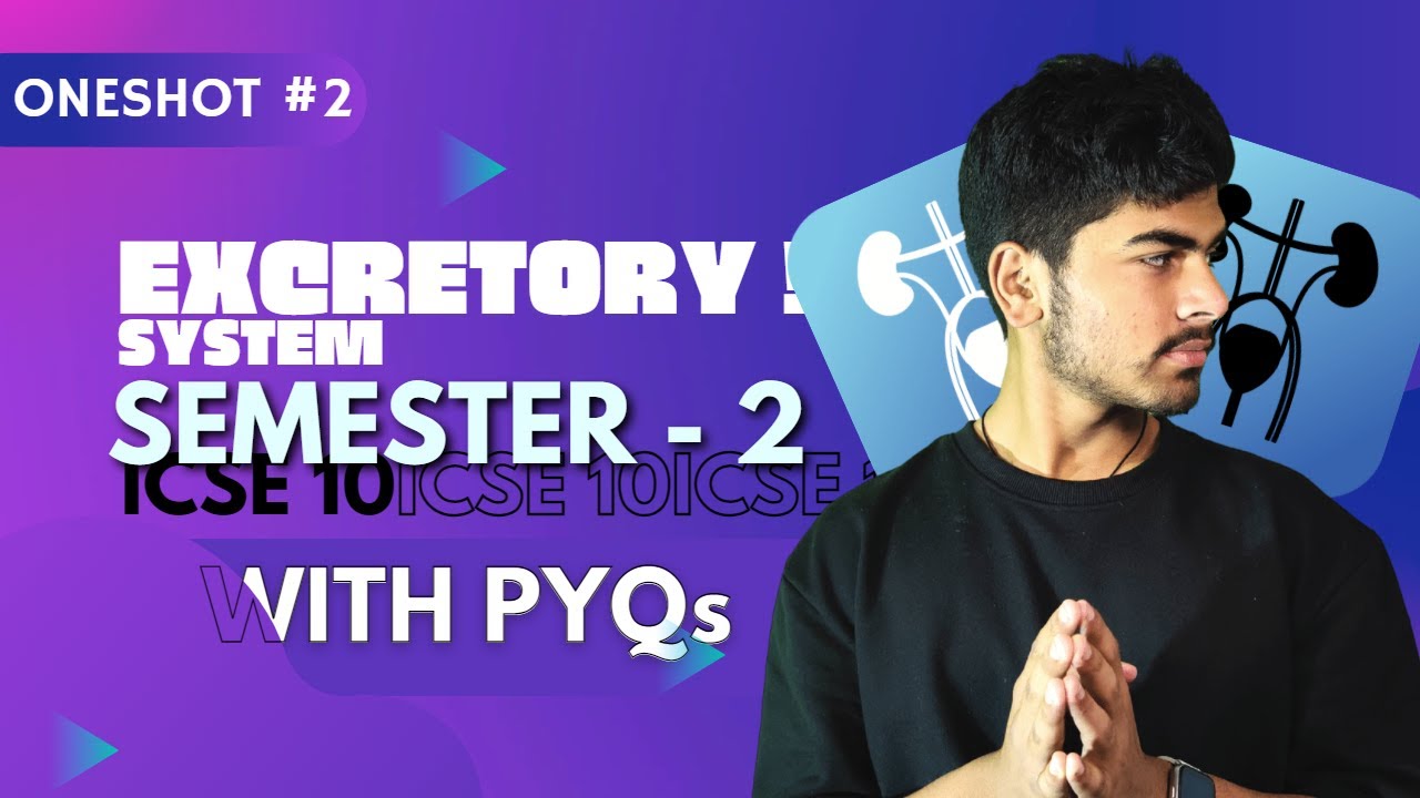 Excretory System | One shot | ICSE Class 10 | Semester 2 | PYQs and MCQs - YouTube