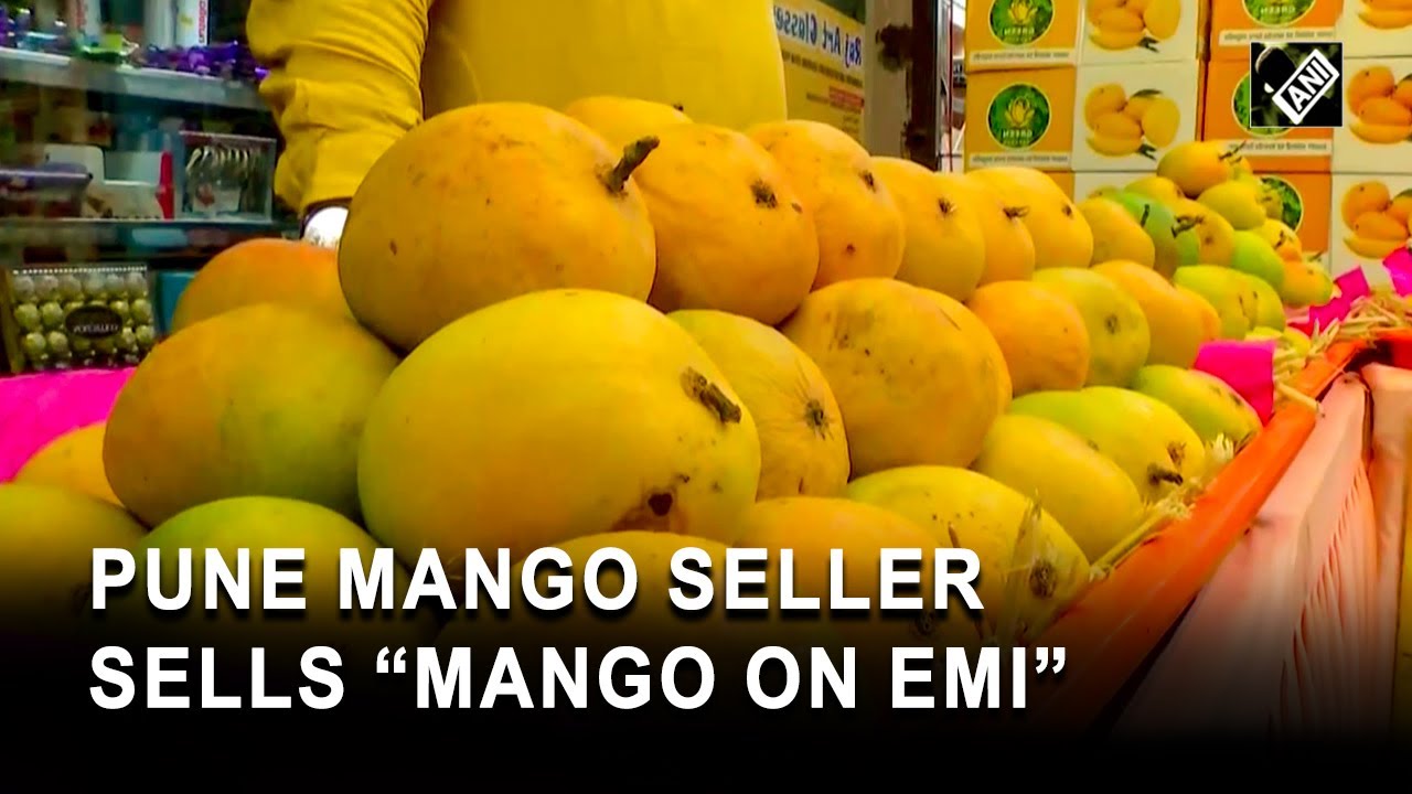 Pune mango seller introduces EMI payment option to woo customers - YouTube