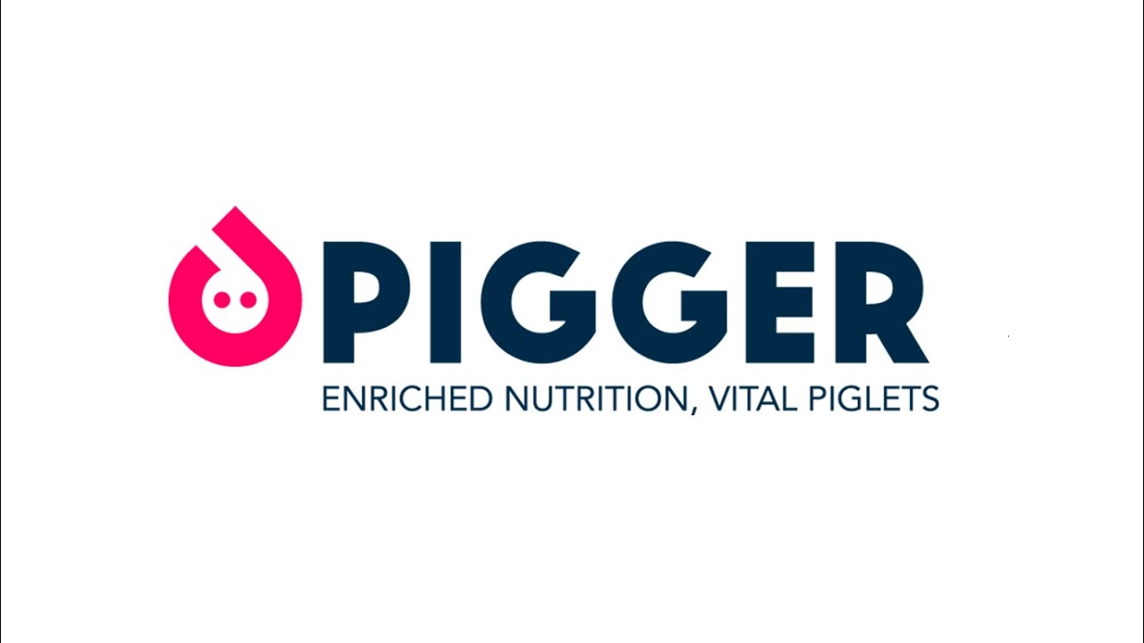 PIGGER - Piglet Milk Replacer - YouTube
