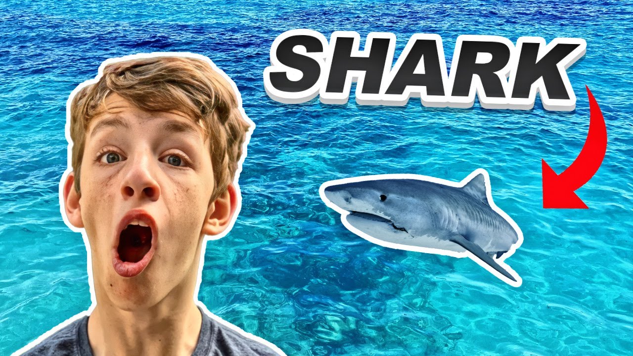 We Caught A Shark! | Shake-A-Leg Miami - YouTube