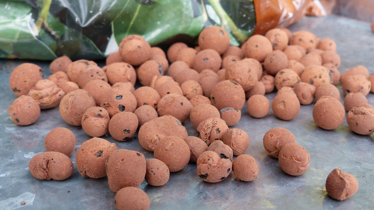 Billes d'argiles pour plantes d'intérieur, extérieur et orchidées - YouTube