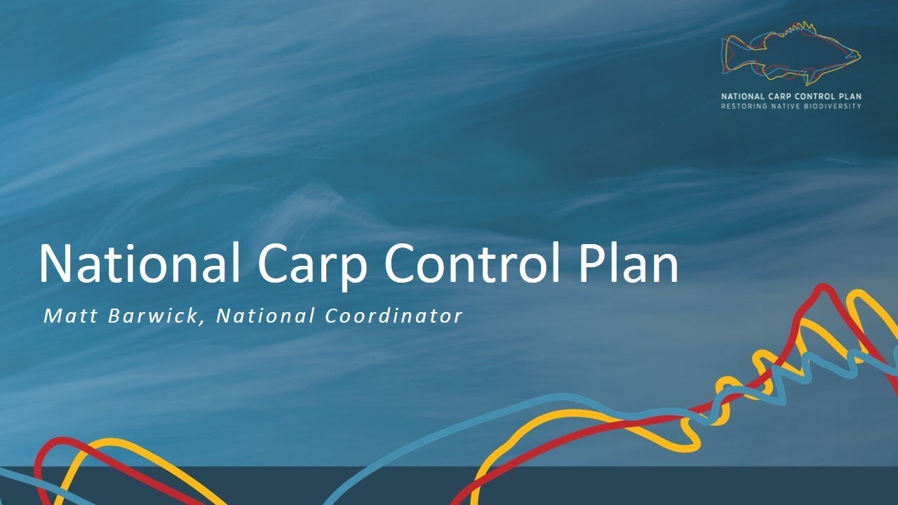 NFF2017: 05 - National carp control plan - YouTube