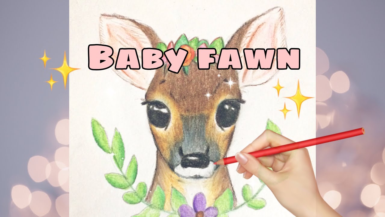 Drawing a Baby Fawn - realistic color pencil portrait ...