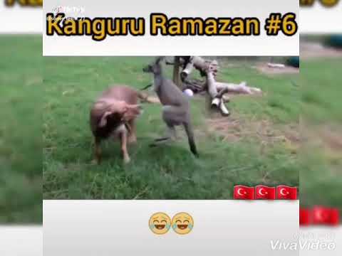 Anten dublaj gülmek garanti