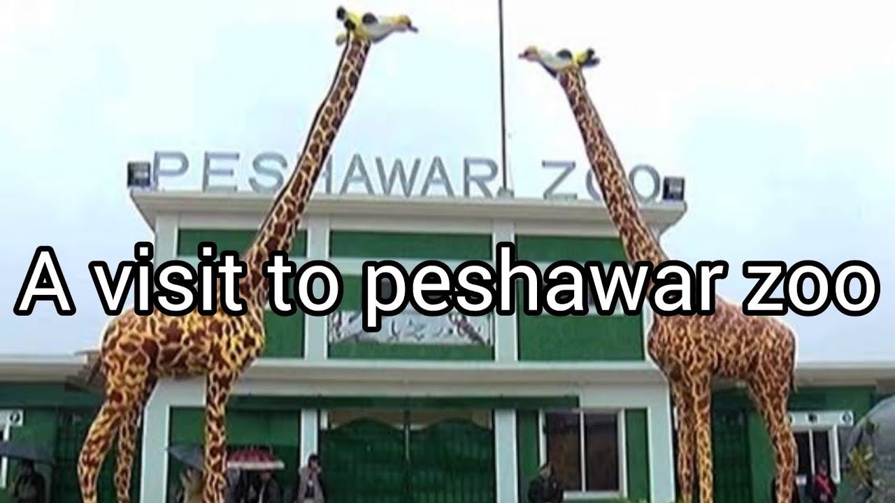 A visit to peshawar zoo | Hamza Ahsan | VLOG - YouTube