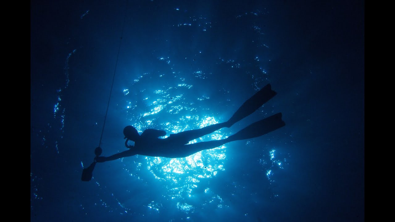 Freediving With Turtles in Hanauma Bay, Oahu, Hawaii - YouTube