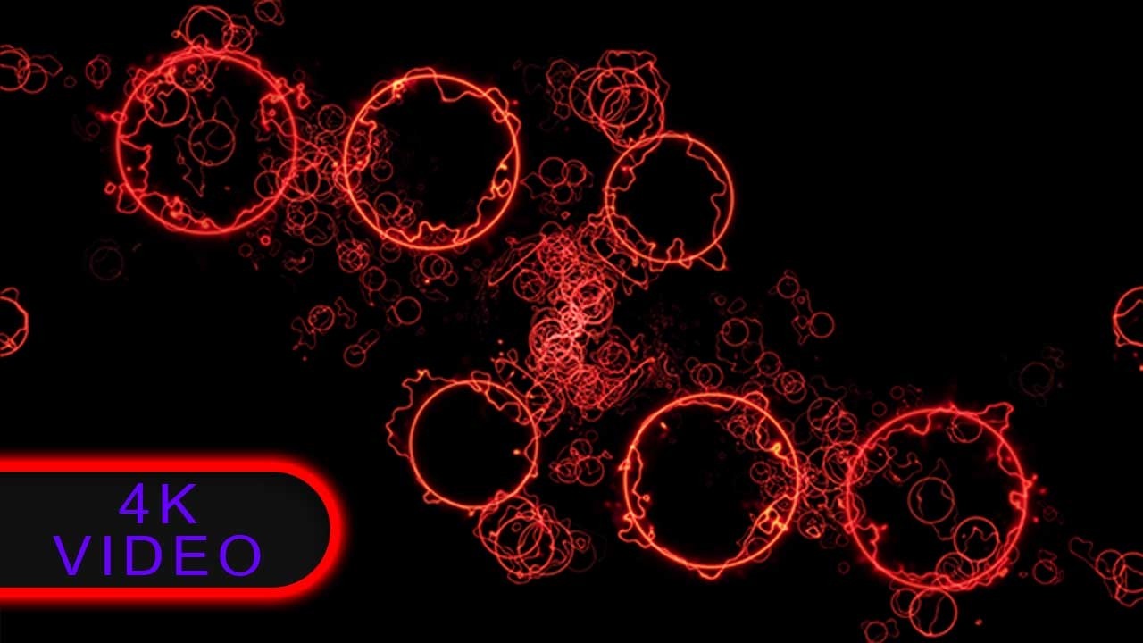 4K Neon Circle Screensaver In Ultra HD Quality | 4K Screensaver Video ...