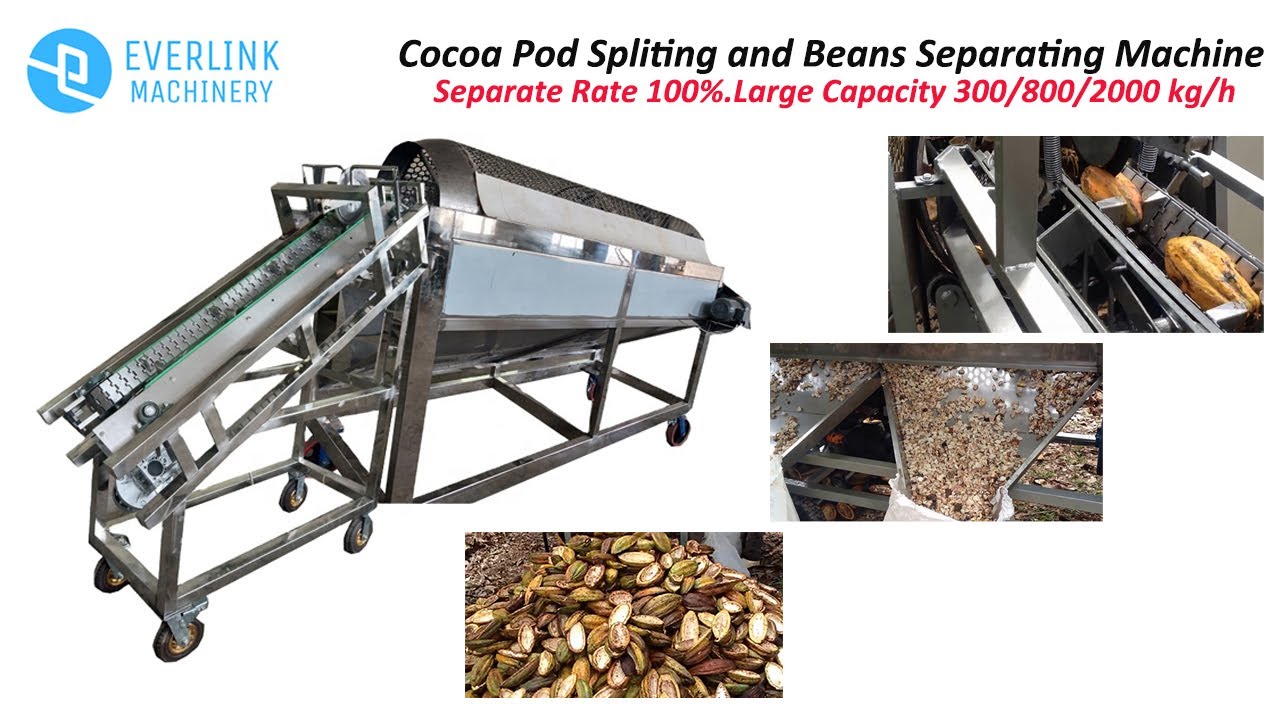 Cocoa Pod Spliting And Beans Separating Machine|Cocoa Harvesting ...