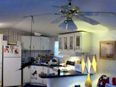 Funny Bird on ceiling fan Blade ( Peaty ) - YouTube