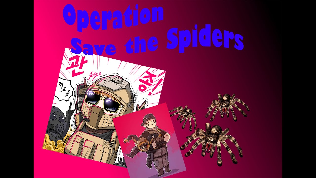 Operation Save the Spiders - YouTube