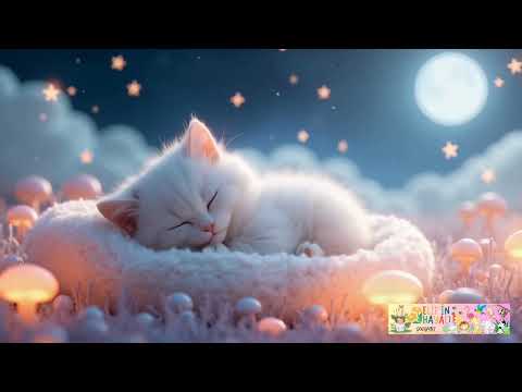 Uyuyan Minik Kedi – Ninni Tadında Tatlı Bir Uyku Müziği - Sleeping Little Cat – A Sweet Lullaby