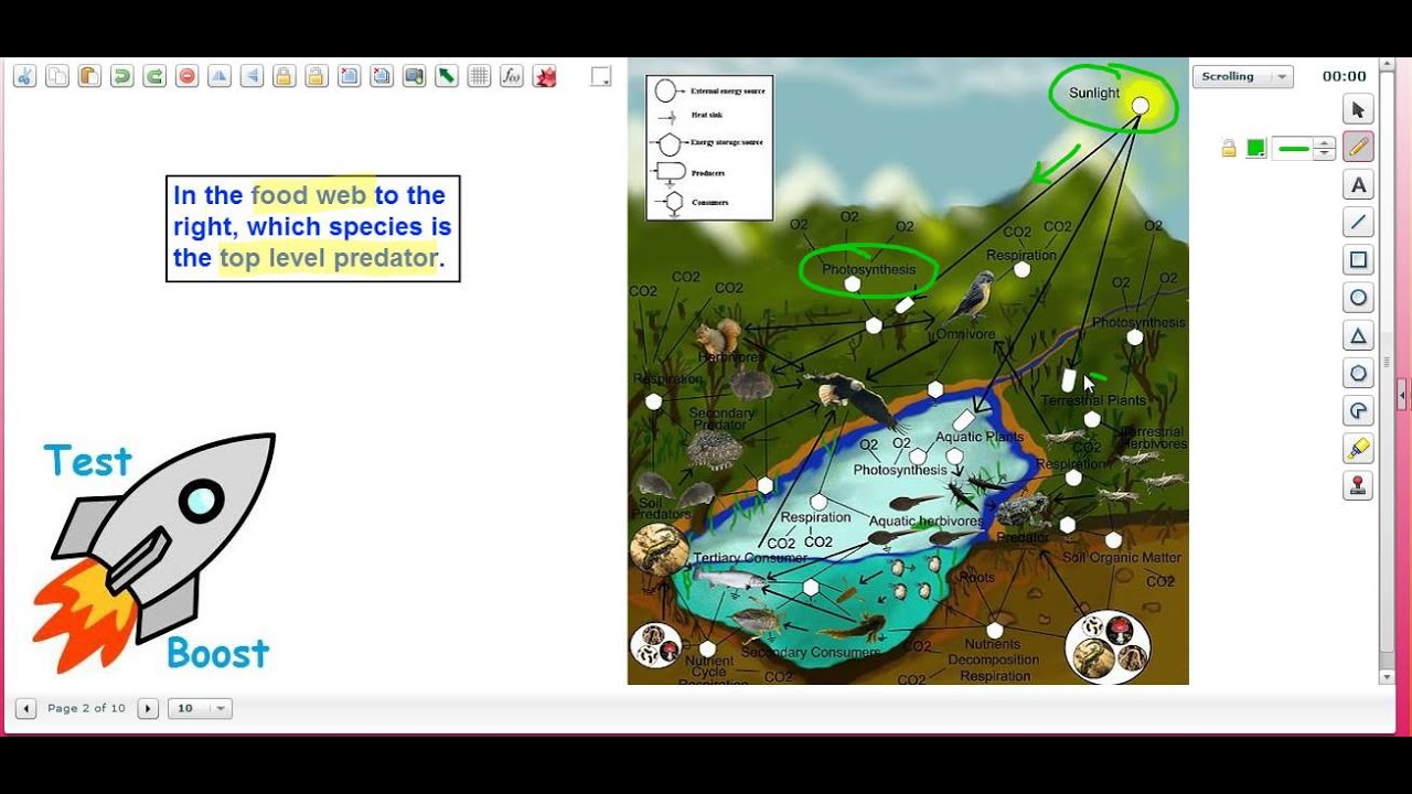 Identifying the Top Level Predator in a Food Web: Test Boost for SAT ...