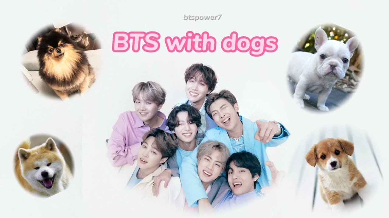 BTS with dogs 🐶 - YouTube