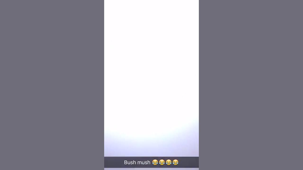 Bushy YouTube bushy-youtube