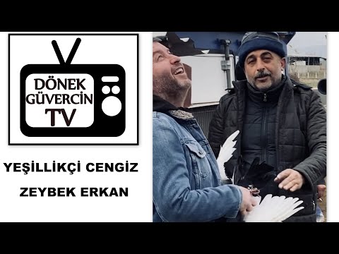Dönek güvercin dönüş  Yeşillikçi Cengiz ve Zeybek Erkan. Hem sohbet hem de güvercin uçurduk.Dunek