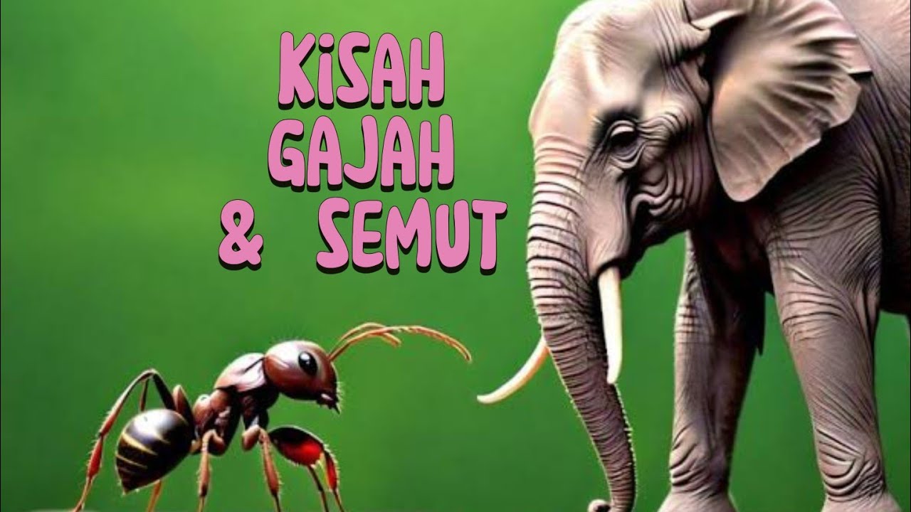 Kisah Gajah dan Semut - YouTube
